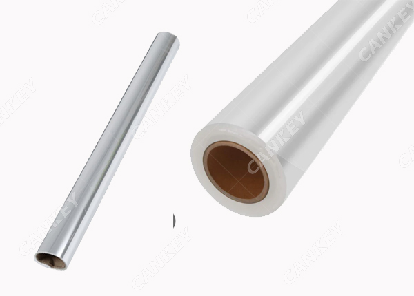 How Long Does Cellophane Take to Biodegrade?